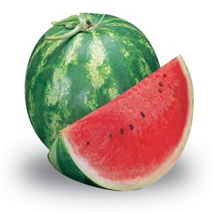 Lubenice, melone, bučke, kumare, paradižnik, paprika in jajčevec. Kaj ...